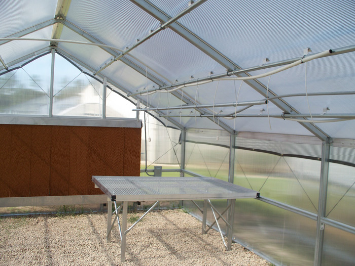 Scholar Greenhouse - Retail, Educational, & Commercial Greenhouse ...